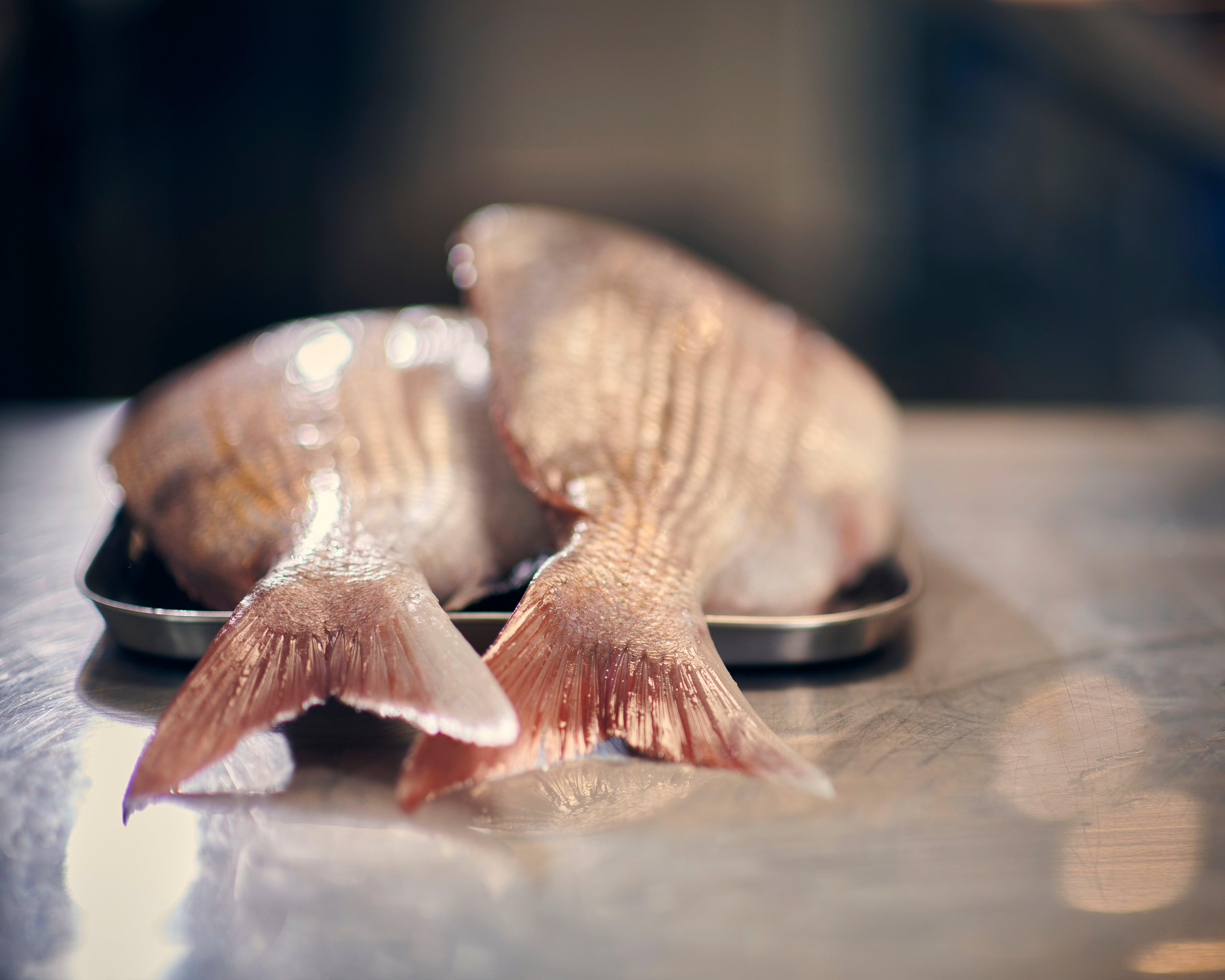 Order fresh fish online - We deliver the Ocean’s finest fresh fish ...