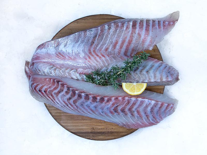 Fresh Blue Moki Fillets – Wildfish Export