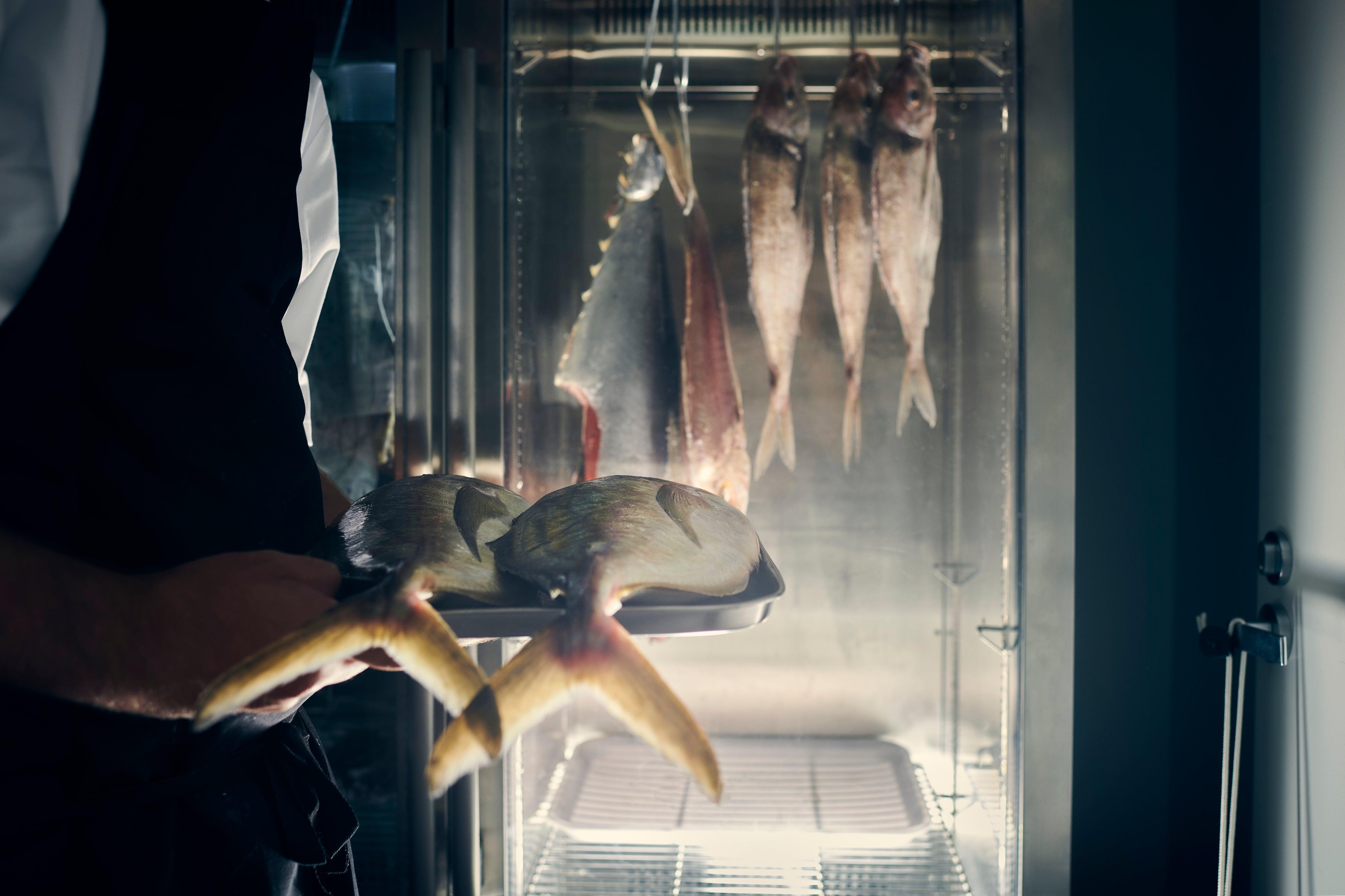 Fresh Butterfish fillets – Wildfish Export